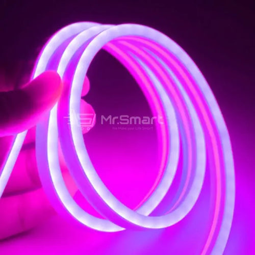 LED Neon Strip Light.